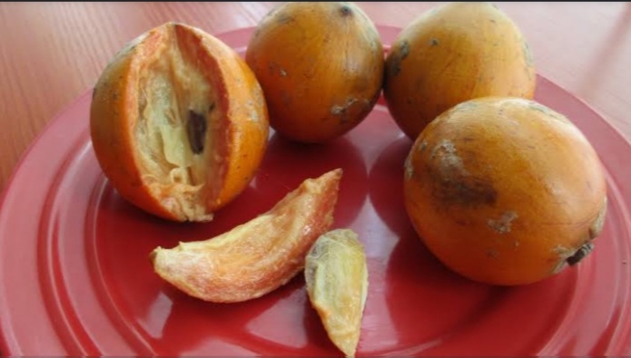 African Cherry And Its Benefits To Human And The Environment ...