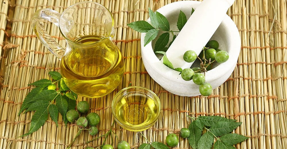 Neem Oil Benefits - Naturenews.africa