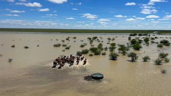 Disaster funding extended as Queensland floods continue - Naturenews.africa